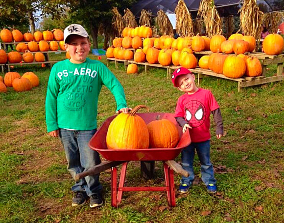 Bi-Water Farm & Greenhouse | Gallery