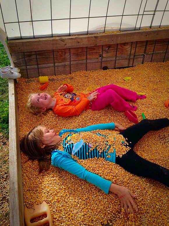 Bi-Water Farm & Greenhouse | Gallery