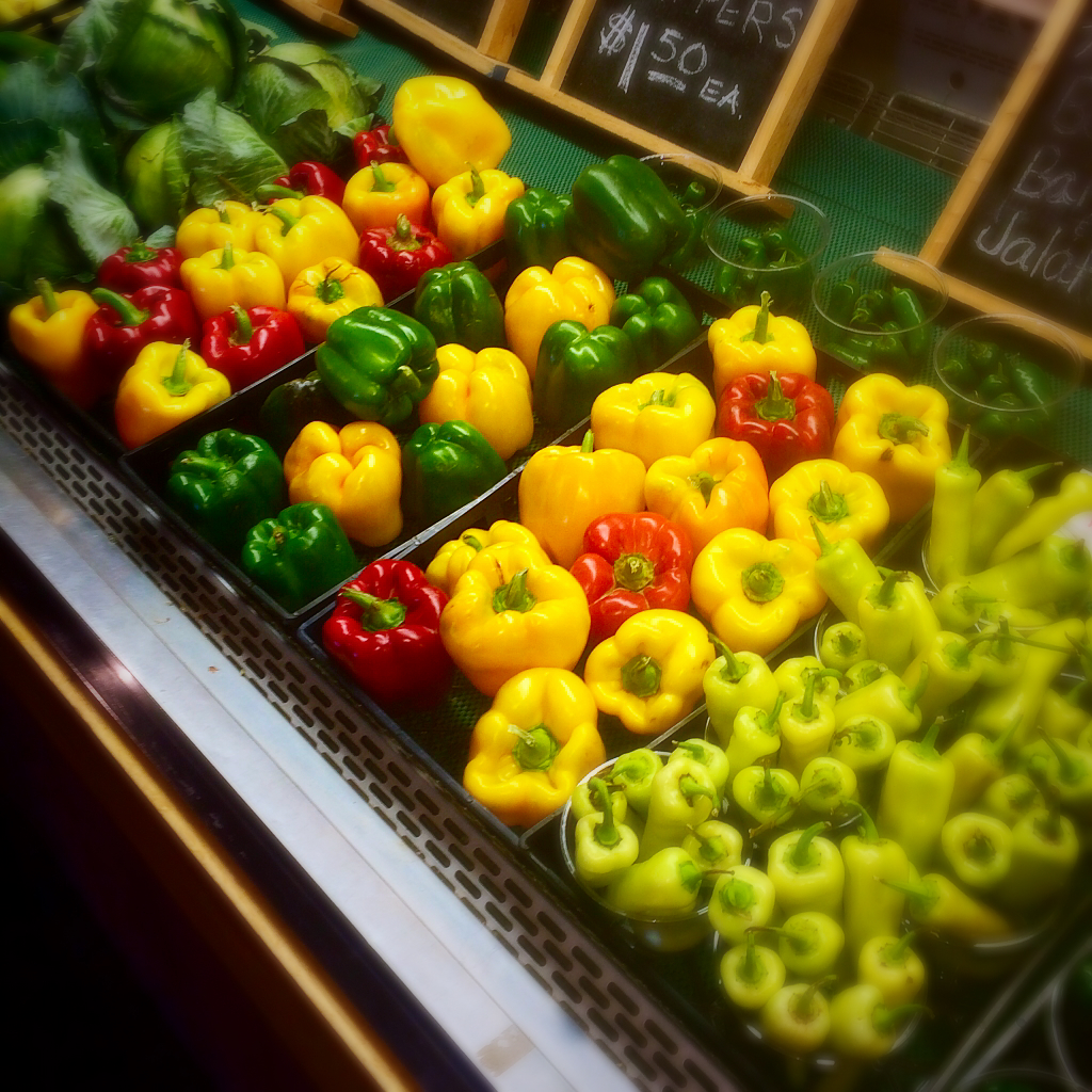 Photo-7 – Bi-Water Farm