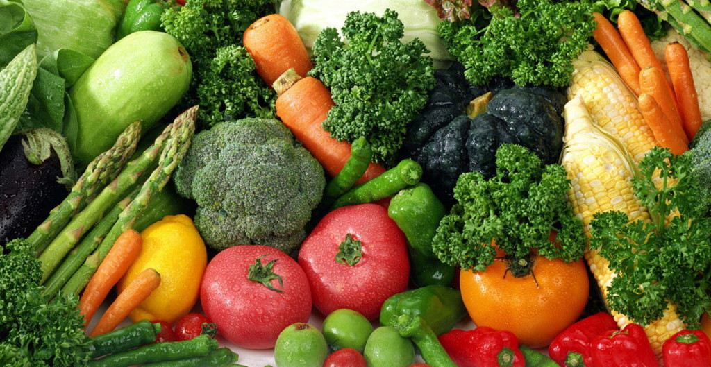 Bi-Water Farm – Where Your Adventure Begins