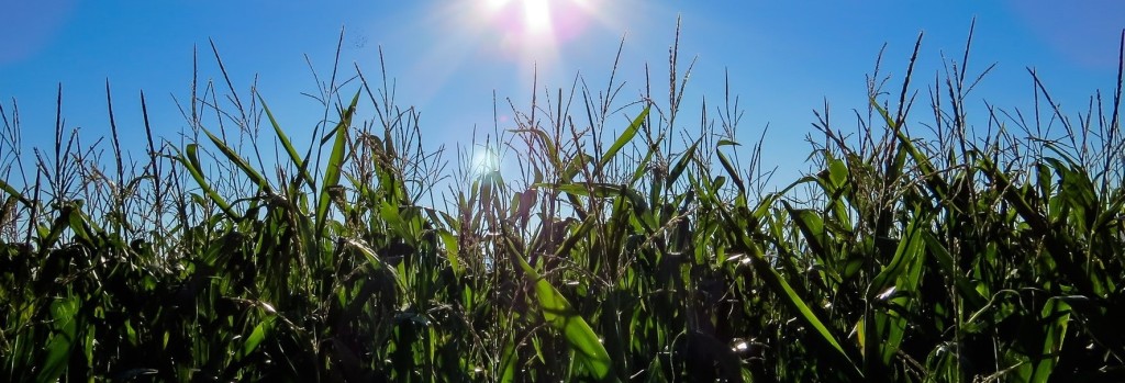 Bi-Water Farm & Greenhouse | Pricing