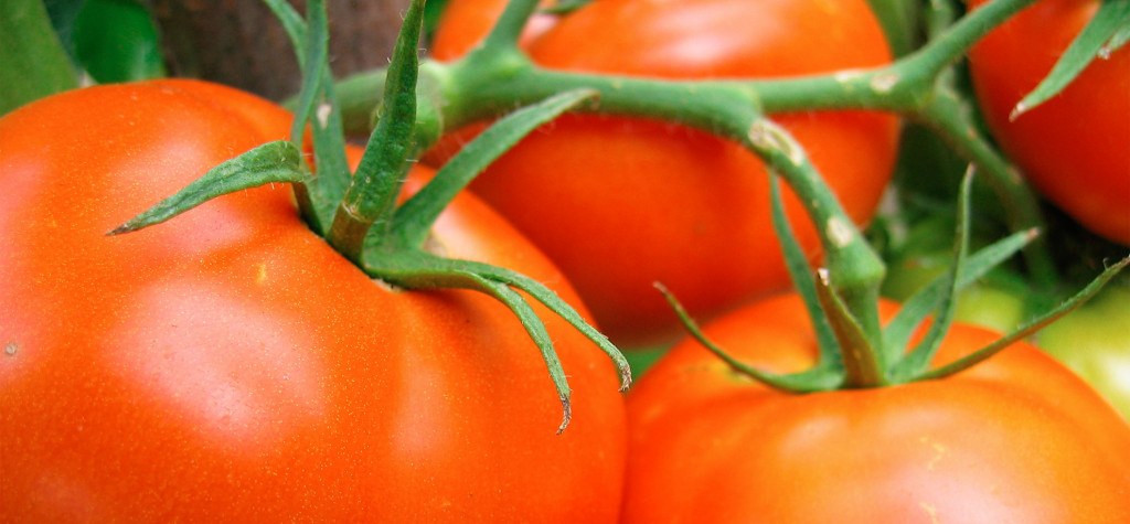 Bi-Water Farm – Where Your Adventure Begins