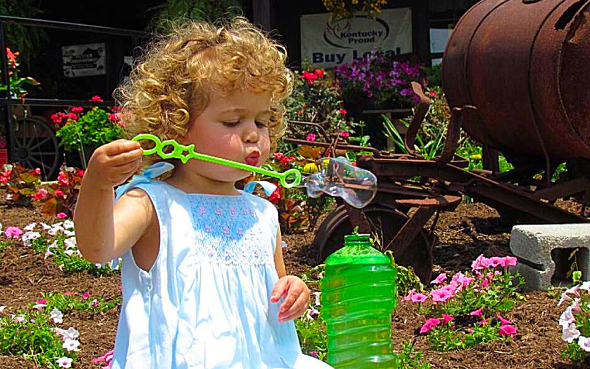 Bi-Water Farm & Greenhouse | Gallery