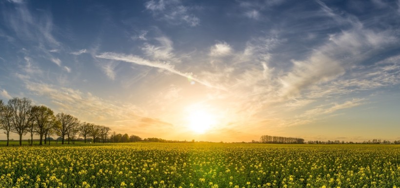 Bi-Water Farm & Greenhouse | About Us