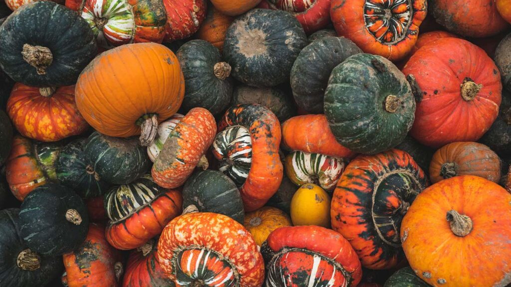 Bi-Water Farm & Greenhouse | Group Outings