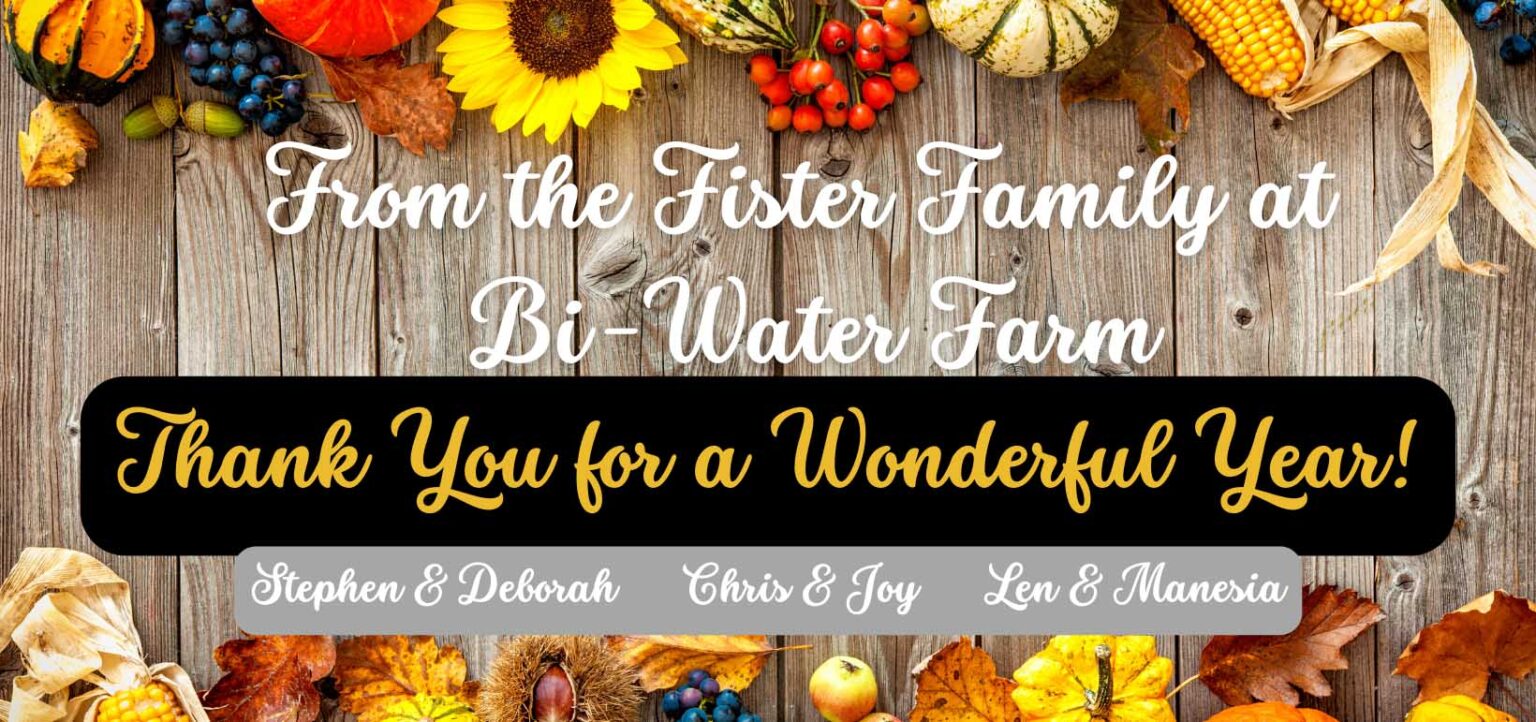 Bi-Water Farm – Where Your Adventure Begins