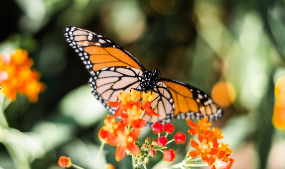 Bi-Water Farm – Where Your Adventure Begins